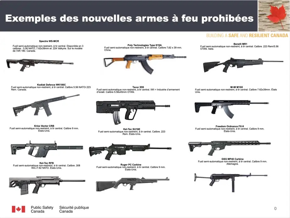 Programme de rachat des armes au Canada - Site officiel de l'Union ...